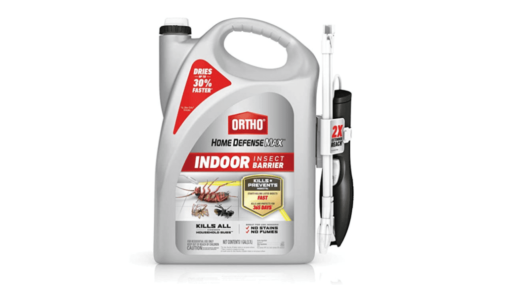 What Chemical Kills Termites? 7 Best chemicals for termite - Bugs Solution